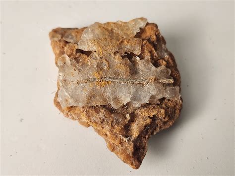 Fluorescent Orange Halite Mineral Specimen Salton Sea Etsy