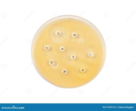 Antibiogram Der Escherichia Colibakterien Empfindlichkeit Zeigt