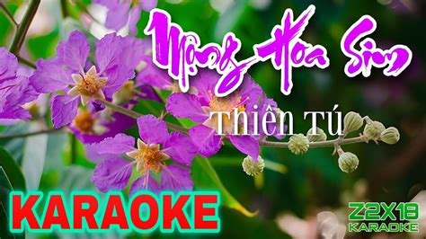 Karaoke MỘng Hoa Sim Thiên Tú Tone Nam Youtube Music