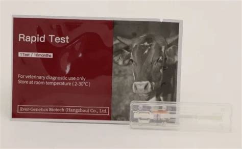 Foot And Mouth Disease Virus Non Structural Protein Antibody Rapid Test