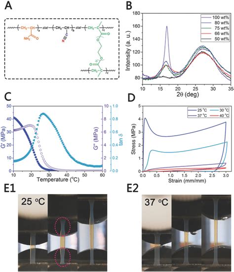 A Molecular Structure Of Panpaampeg3kdma Hydrogels B 1d Integrals Download Scientific