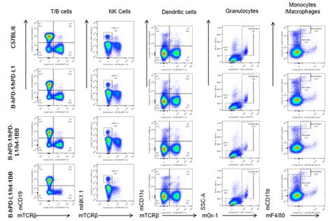 B Hpd 1hpd L1h4 1bb Mice Biocytogen