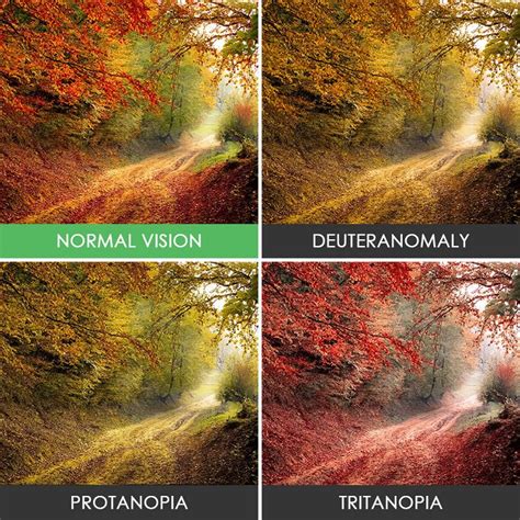 This Is How People With Color Blindness See