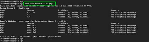 Comment Installer La Pile Lemp Sur Rocky Linux Tech Tribune France