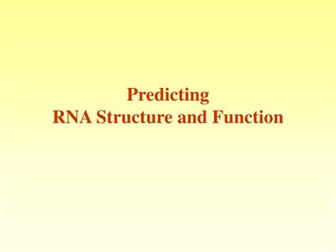 Ppt Predicting Rna Structure And Function Powerpoint Presentation