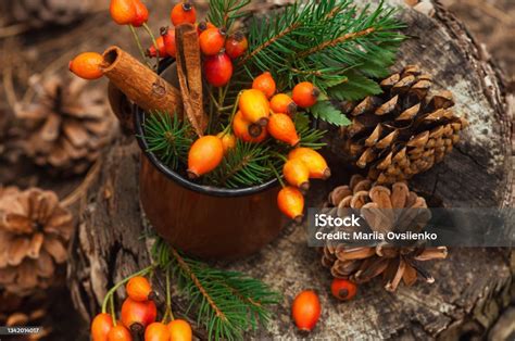 로즈힙 녹색 잎 가문비나무 가지 원뿔이 있는 금속 오래된 머그잔이 숲의 그루터기 위에 서 있습니다 0명에 대한 스톡 사진 및 기타 이미지 Istock