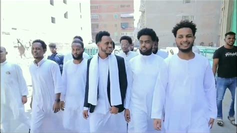 Eritrean Calture Saho Wedding In Egypt 2023yasmin Tv Youtube