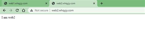 基于域名的frp内网穿透教程win Serveriis反向代理给自己电脑设置一个域名 网络穿透 Csdn博客