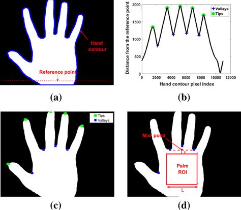 Palm Vein Roi Extraction A Hand Contour Localization B Plot Of Radial Download Scientific