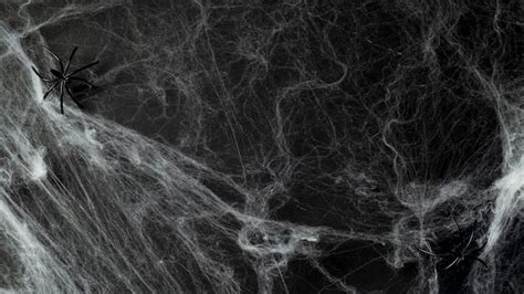 Premium Photo Spider Net On Dark Background Halloween Concept