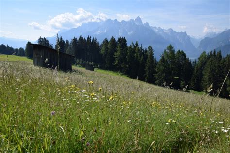 Colloquium Of The Platform Biodiversity Species Diversity And Forage
