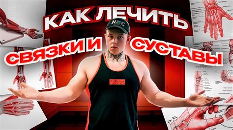 ЛЕЧИМ СВЯЗКИ И СУСТАВЫ | ПРЕПАРАТЫ ДЛЯ СВЯЗОК - YouTube