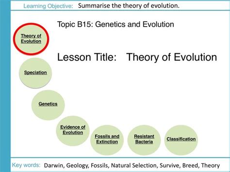 Aqa Gcse B15 Genetics And Evolution L1 Theory Of Evolution Teaching