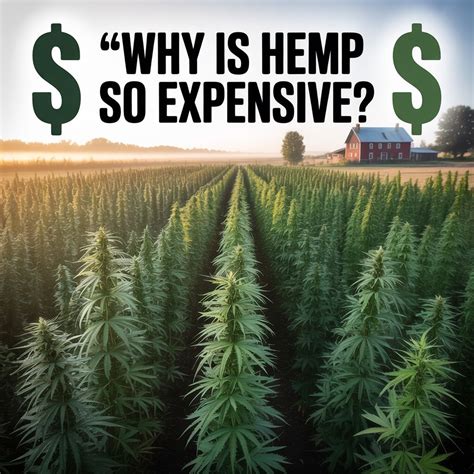 Great Post By Lawrence Serbin On Hemp Must Read For Textile Fashion