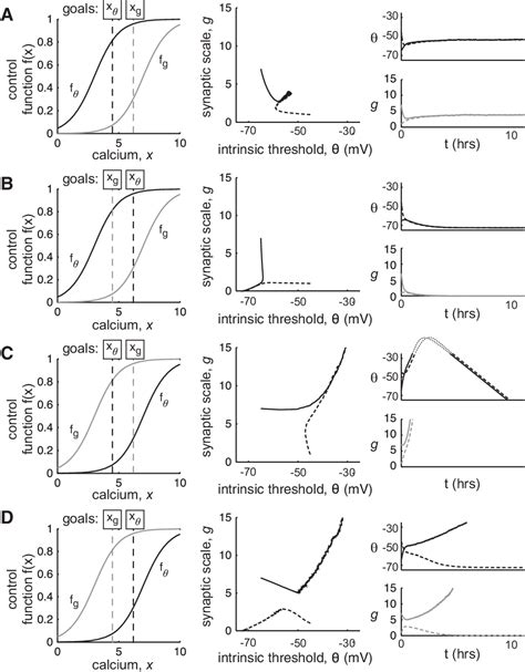 Figure 1 From Synaptic And Intrinsic Homeostasis Cooperate To Optimize