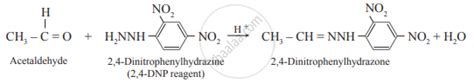 What Is The Action Of 2 4 Dinitrophenylhydrazine On Acetaldehyde