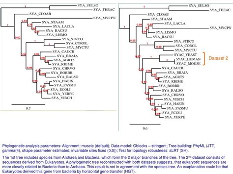 Ppt Elements Of Bioinformatics 14f01 Tp5 Phylogenetic Analysis Powerpoint Presentation Id