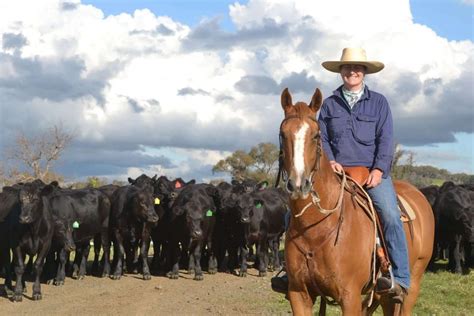 Verified Black Angus Beef Farmers Angus Australia