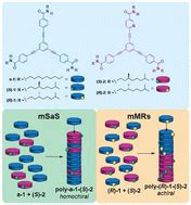 Pyridine Based Tricarboxamides Complementary Monomers For Supramolecular Copolymerization With