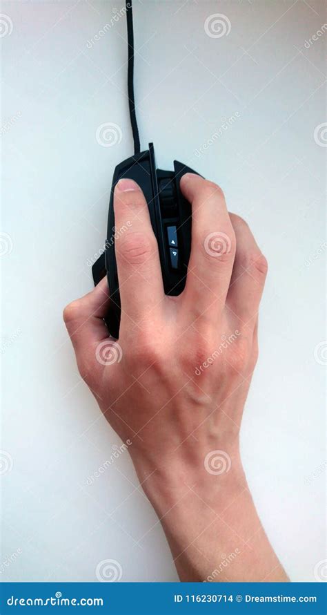 Computer Mouse In Hand On A White Background Stock Photo Image Of