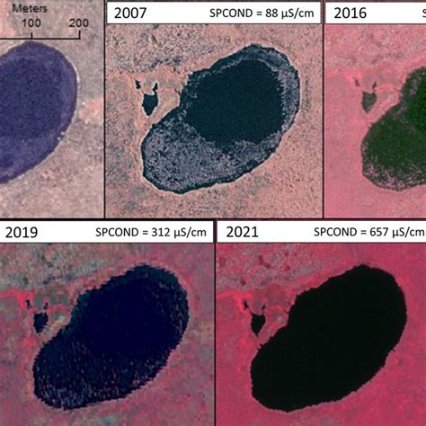 Beds Of Floating‐leaved Vegetation In 1981 Aerial Photograph 2007