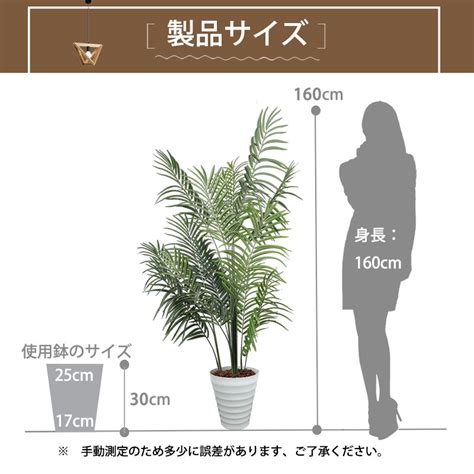 【楽天市場】【sale！1000円off⇒7980】アレカヤシ フェイクグリーン 大型 高さ160cm 鉢付き 観葉植物 フェイク 人工観覧