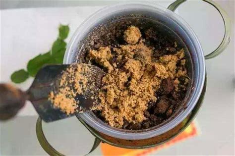 養多肉佛珠紫玄月河沙加點天然的緩釋肥效果絕對 每日頭條