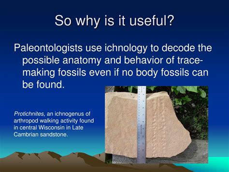 Ppt Ichnology Powerpoint Presentation Free Download Id350906