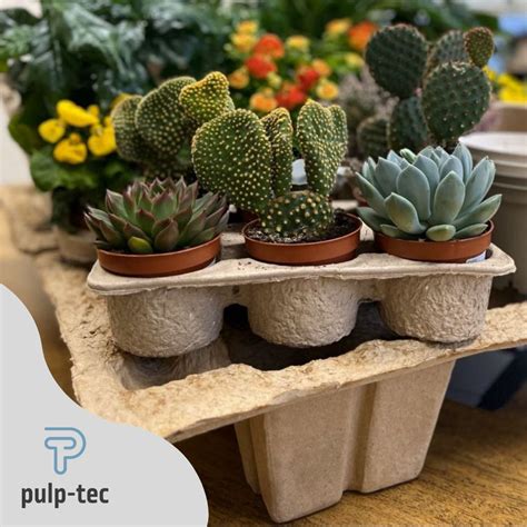Pulptec Sustainablepackaging Mouldedpulp Ecofriendlysolutions Circulareconomy Pulp Tec