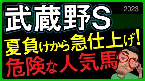 【武蔵野ステークス2023予想・有力馬解説・外厩】夏負けから急仕上げ！危険な人気馬！レッドルゼル、ドライスタウト、ペリエールなど参戦