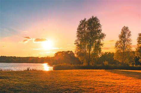 Trees That Start With L Plant Grower Report