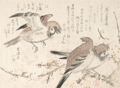 なぜ「ことば」は「葉」という漢字を使うの？語源を紹介！ ｜ 和樂web 美の国ニッポンをもっと知る！