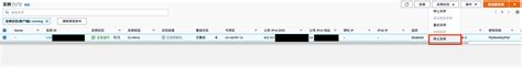 启动 Ec2 Linux 实例