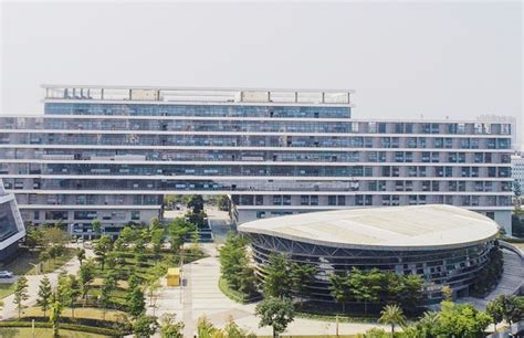 Compression Hemostatic Device Interventional Departmentcardiology