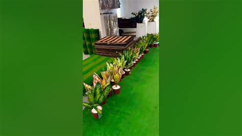 😍😍😍 Shorts Ytshorts Youtube