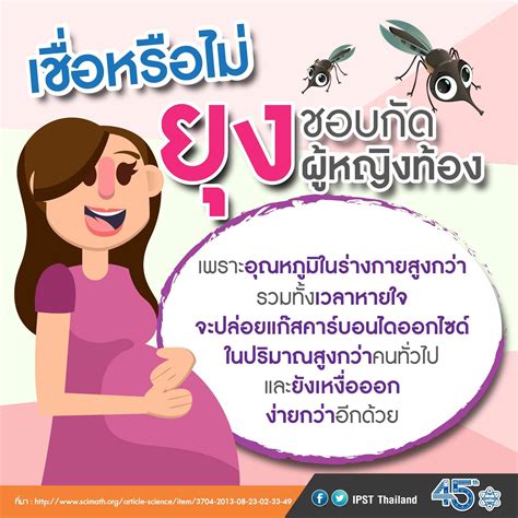 Ipst Thailand เชื่อหรือไม่ ยุงชอบกัดผู้หญิงท้อง