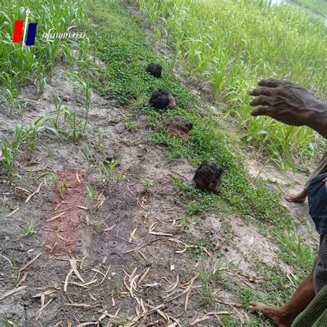 စစ်ကြောင်းဝင်သွားတဲ့ရွာကို နယ်မြေရှင်းလင်းရေးဝင်ချိန် ခေါင်းမပါတဲ့