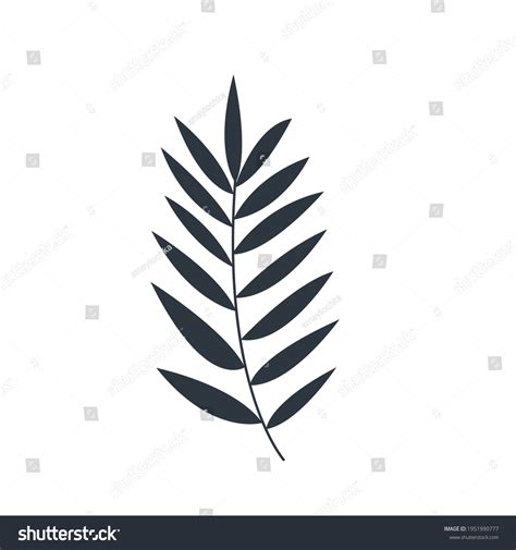 Black Silhouette Palm Tree White Background Stock Vector Royalty Free