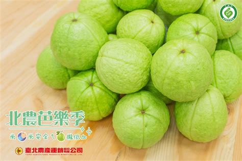 臺北農產 北農4在哈囉～整個4月，為您帶來滿滿的芭～樂～大平台📣 繼上週活動熱鬧開場～🎊 本週日 19 由