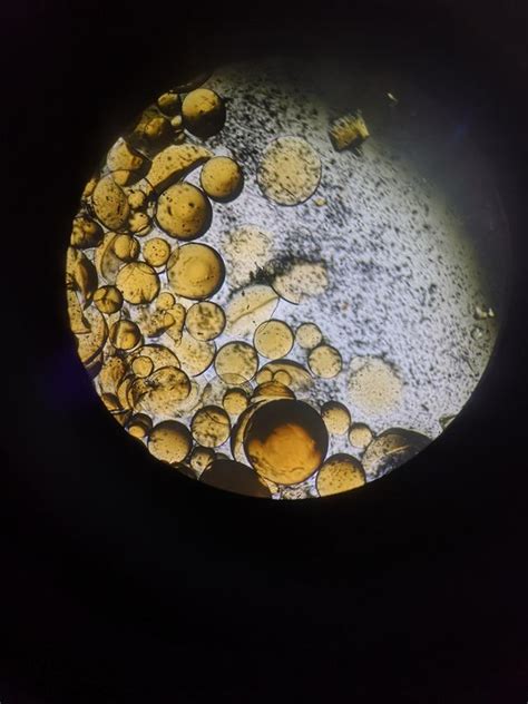 离子交换树脂中毒怎么办 知乎