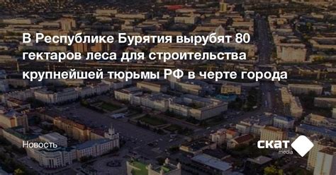 В Республике Бурятия вырубят 80 гектаров леса для строительства