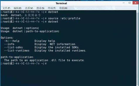 银河麒麟等 Linux系统 安装 Net 5，net 6及更高版本的方法liuxn安装net6 Csdn博客