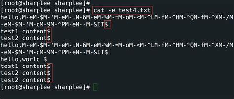 Linux Cat命令 Csdn博客