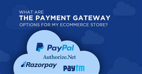 What Are The Payment Gateway Options For My Ecommerce Store
