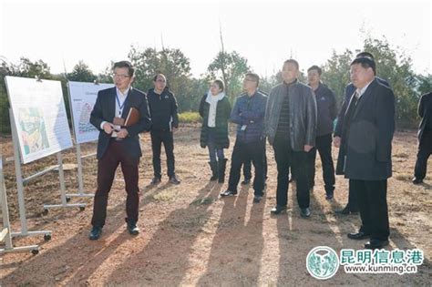 昆明經開區黨工委書記郭子貞調研園區投資公司生產經營情況 每日頭條