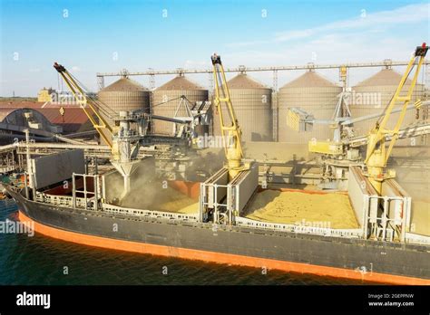 Loading Grain Into Holds Of Sea Cargo Vessel Through An Automatic Line In Seaport From Silos Of