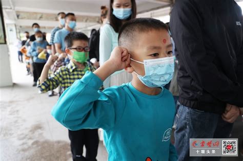 我是一名小学生啦！十堰综合图片频道十堰秦楚网 十堰新闻门户网站 十堰主流新闻媒体