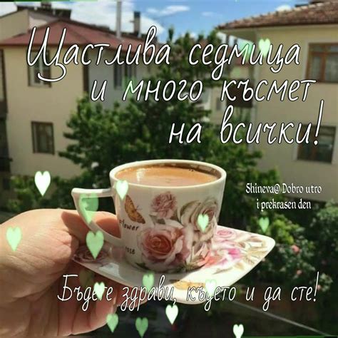 Щастлива седмица 🌷☘️ Добро утро и прекрасен ден