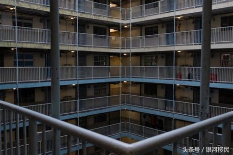 香港公屋特快編配開搶去年8萬人搶1000個單位凶宅都大熱 每日頭條