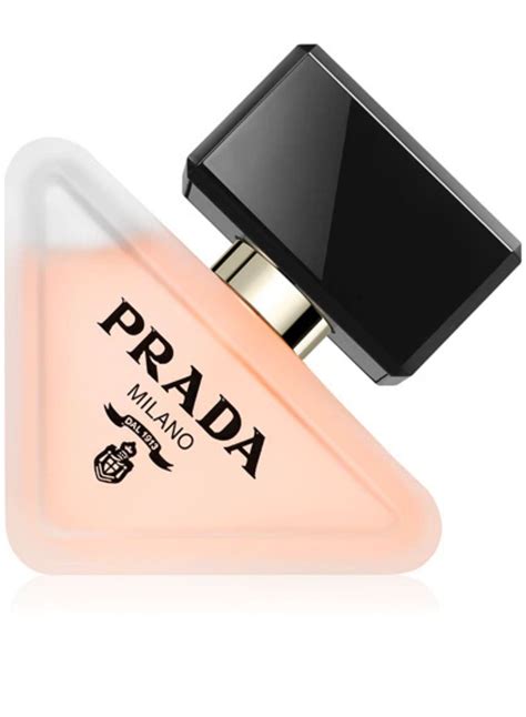 L art de la vanille parfums qui se démarquent